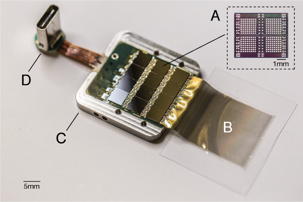 Replay vidéo : Neuralink a dévoilé ses avancées sur une interface ...