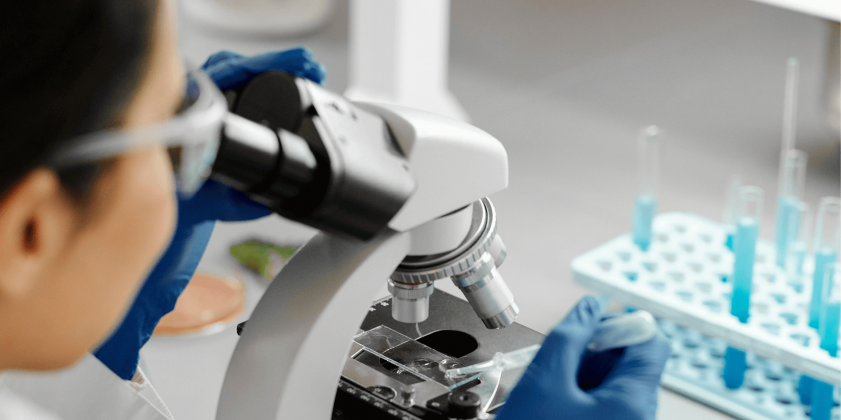 La biotech Vésale Bioscience obtient une subvention de 1,8 million d'euros du fonds EIC