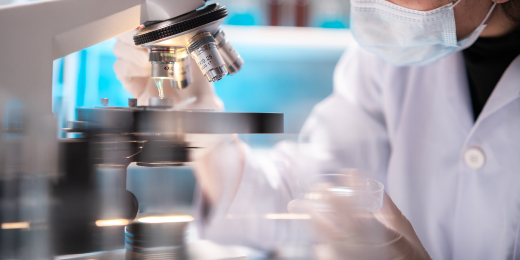 Microsoft Research présente BioGPT, un modèle basé sur GPT-2 pour la génération de texte dans le ...