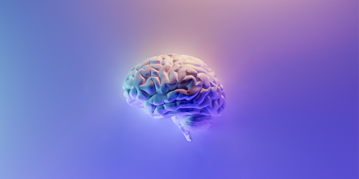 MinD-Video : reconstruire la vision humaine à partir des activités ...