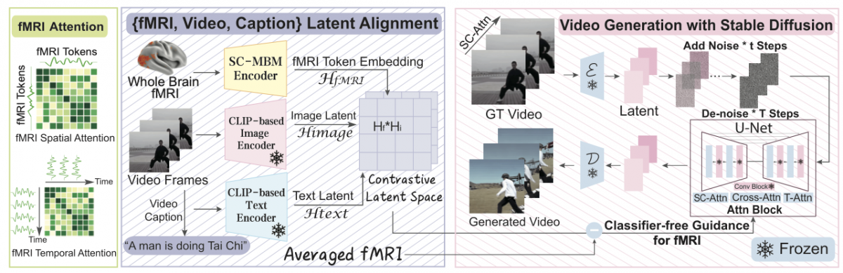 MinD-Video : reconstruire la vision humaine à partir des activités ...